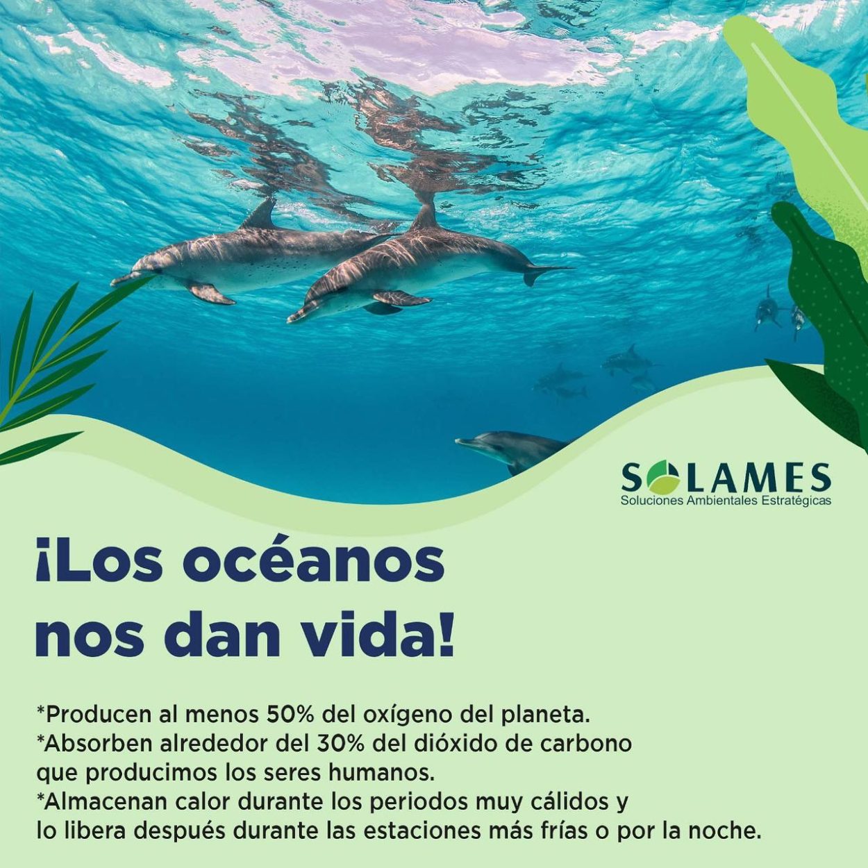 10 June, 2022 – Solames